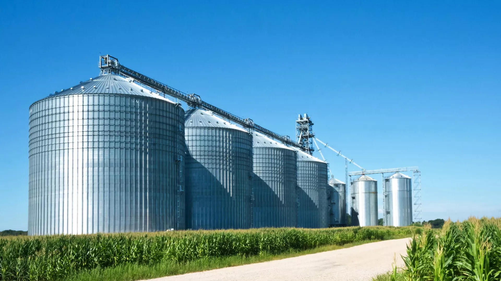 Mesure du niveau dans les silos à grains pour la brasserie et la ...