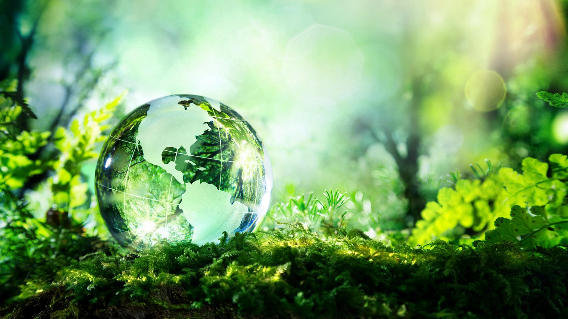 The Roxar 2600 Multiphase Flow Meter Supporting Sustainability